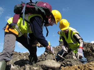 Fossil Hunting Guide | Discovering Fossils