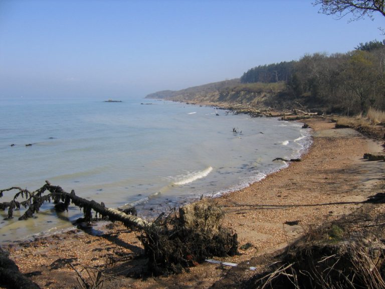 Bouldnor (Isle of Wight) | Discovering Fossils