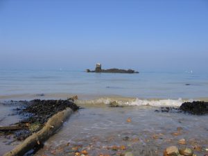 Bouldnor (Isle of Wight) | Discovering Fossils