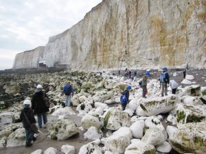 Peacehaven (East Sussex) | Discovering Fossils