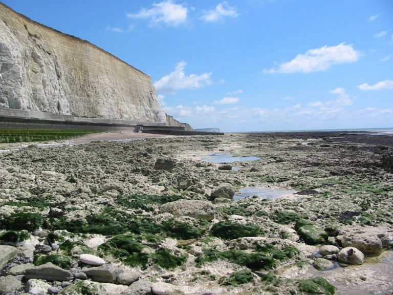 Peacehaven (East Sussex) | Discovering Fossils