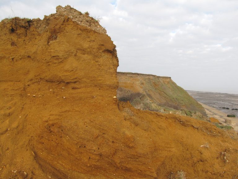 Walton-on-the-Naze (Essex) | Discovering Fossils