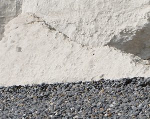 Dover (Kent) | Discovering Fossils