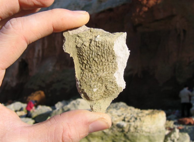 Hunstanton (Norfolk) | Discovering Fossils