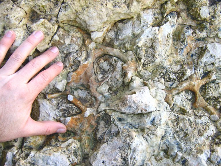 Hunstanton (Norfolk) | Discovering Fossils