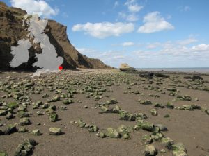 Fossil locations of Great Britain | Discovering Fossils