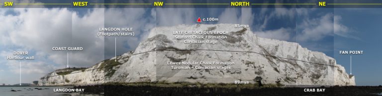 Dover (Kent) | Discovering Fossils