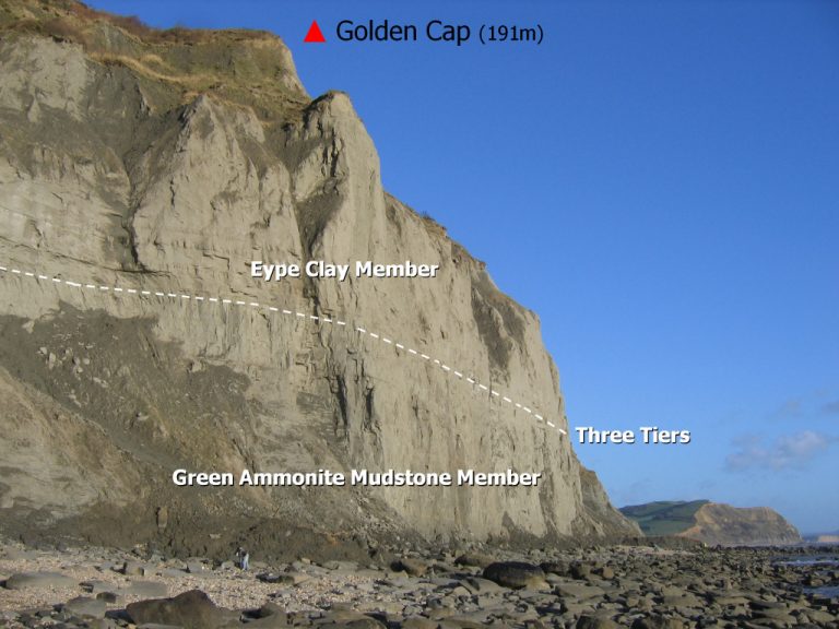 Charmouth (Dorset) | Discovering Fossils